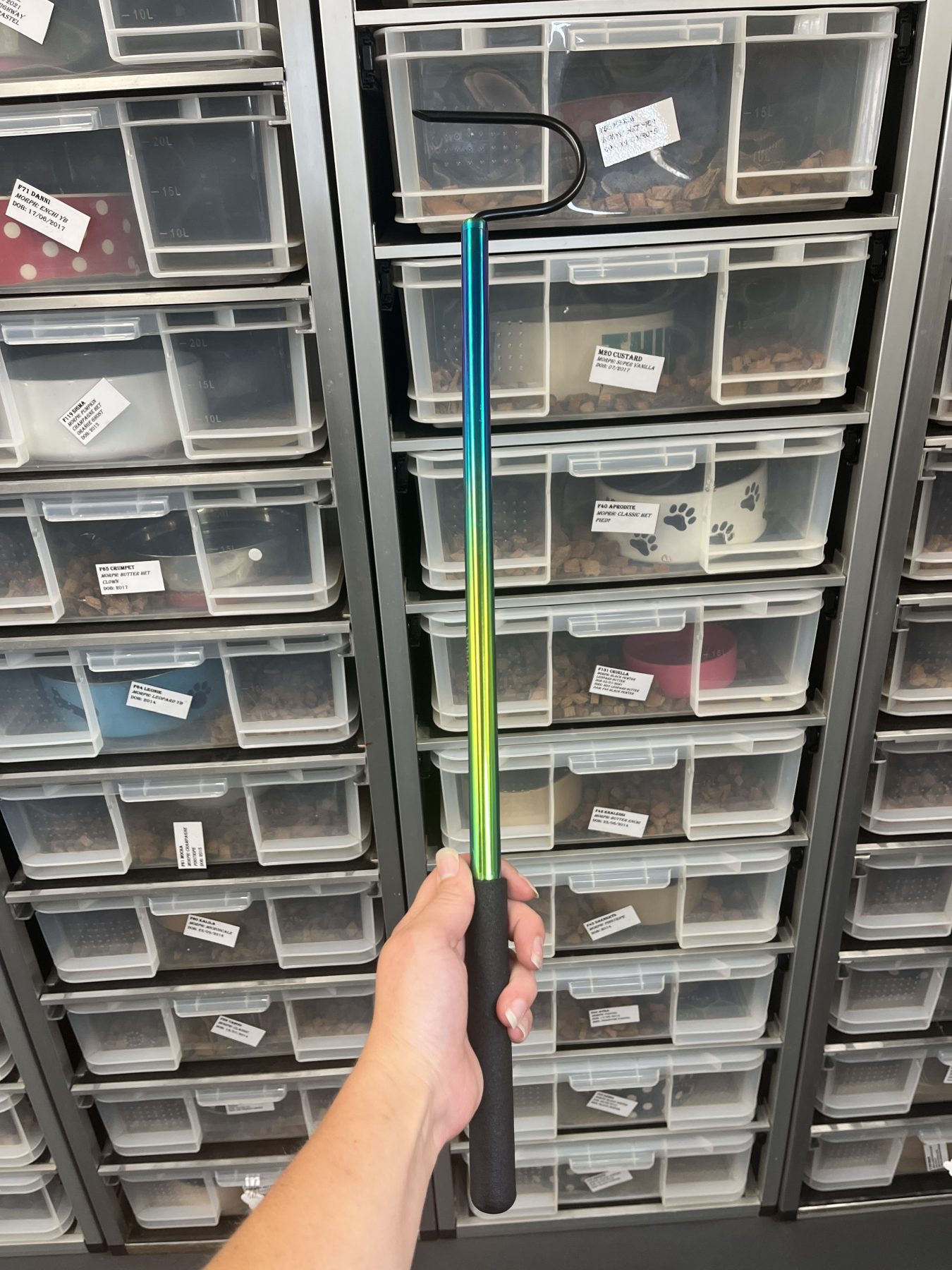 Hologram Snake Hooks 24" and 30" - Living Art Ball Pythons