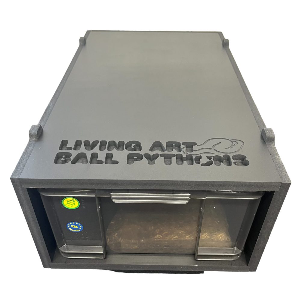 Black 12 Litre Ball Python Set Up Kit - Living Art Ball Pythons