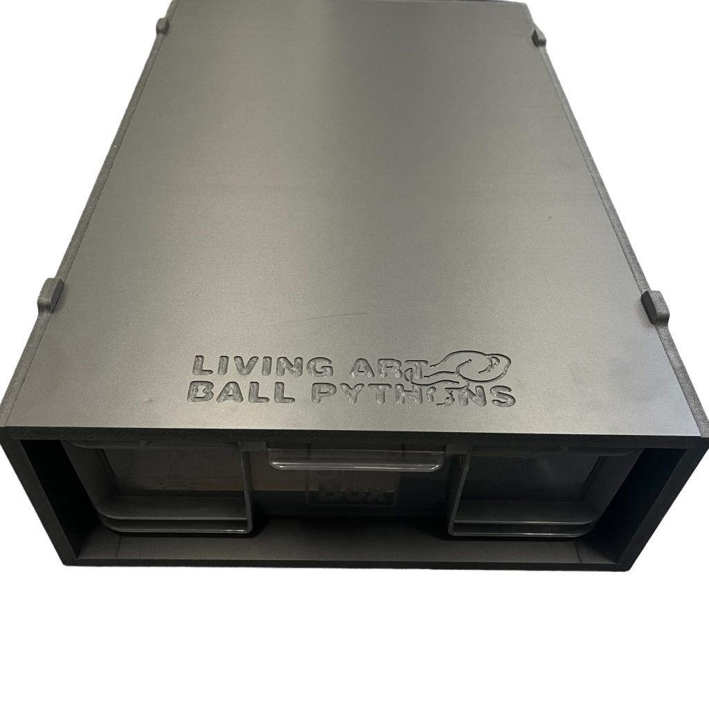 Black 33 Litre Ball Python Set Up Kit - Living Art Ball Pythons