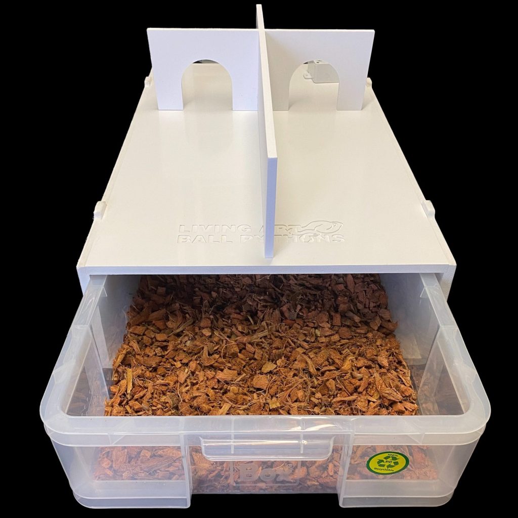 33 Litre Ball Pythons Set Up Kit - Living Art Ball Pythons