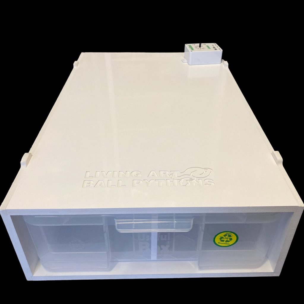 33 Litre Ball Pythons Set Up Kit - Living Art Ball Pythons