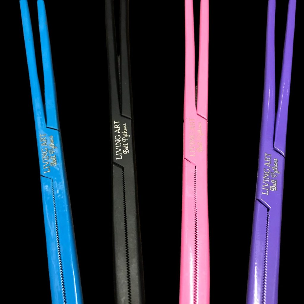 Starter Pack - Living Art Ball Pythons