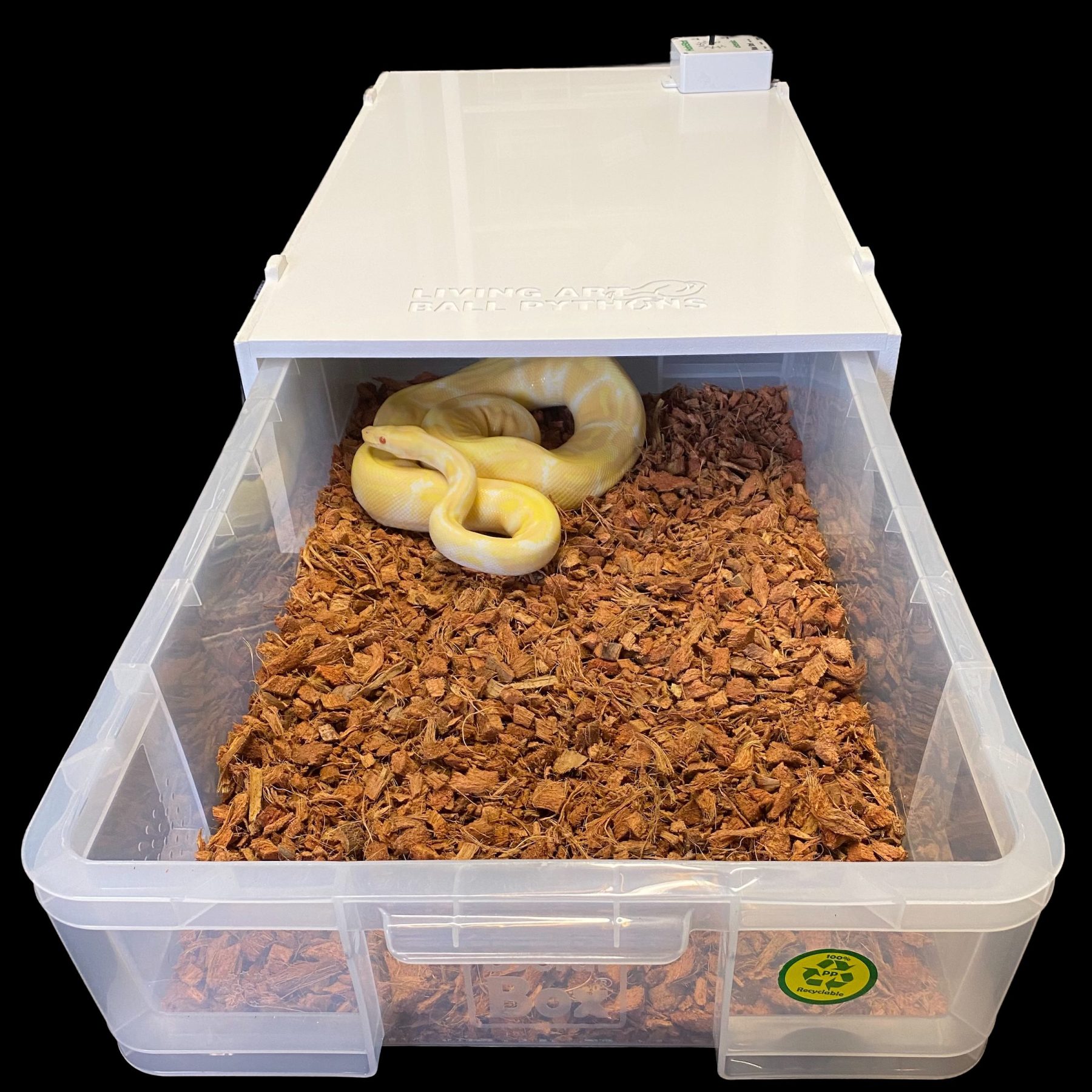 33 Litre Ball Pythons Set Up Kit - Living Art Ball Pythons