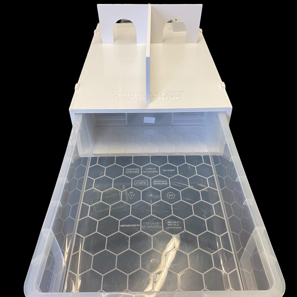 33 Litre Ball Pythons Set Up Kit - Living Art Ball Pythons