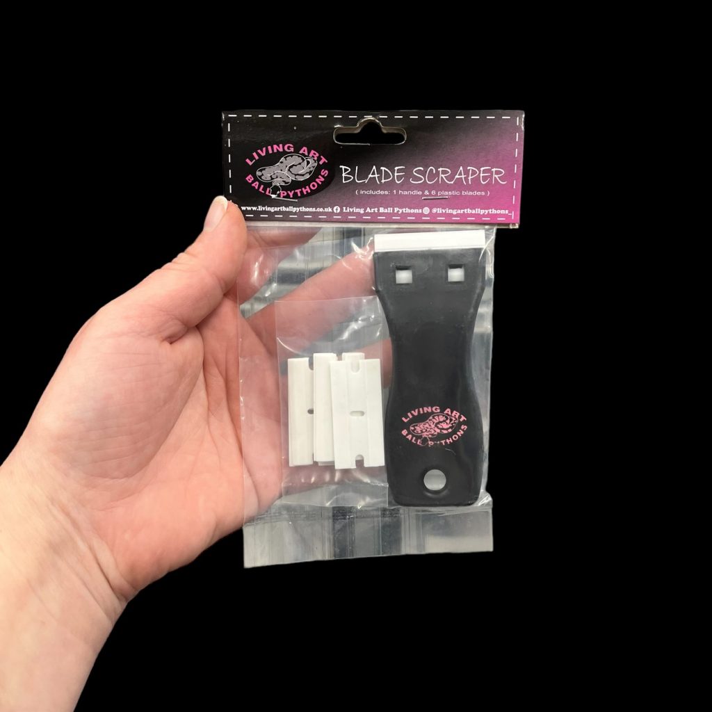 Starter Pack - Living Art Ball Pythons