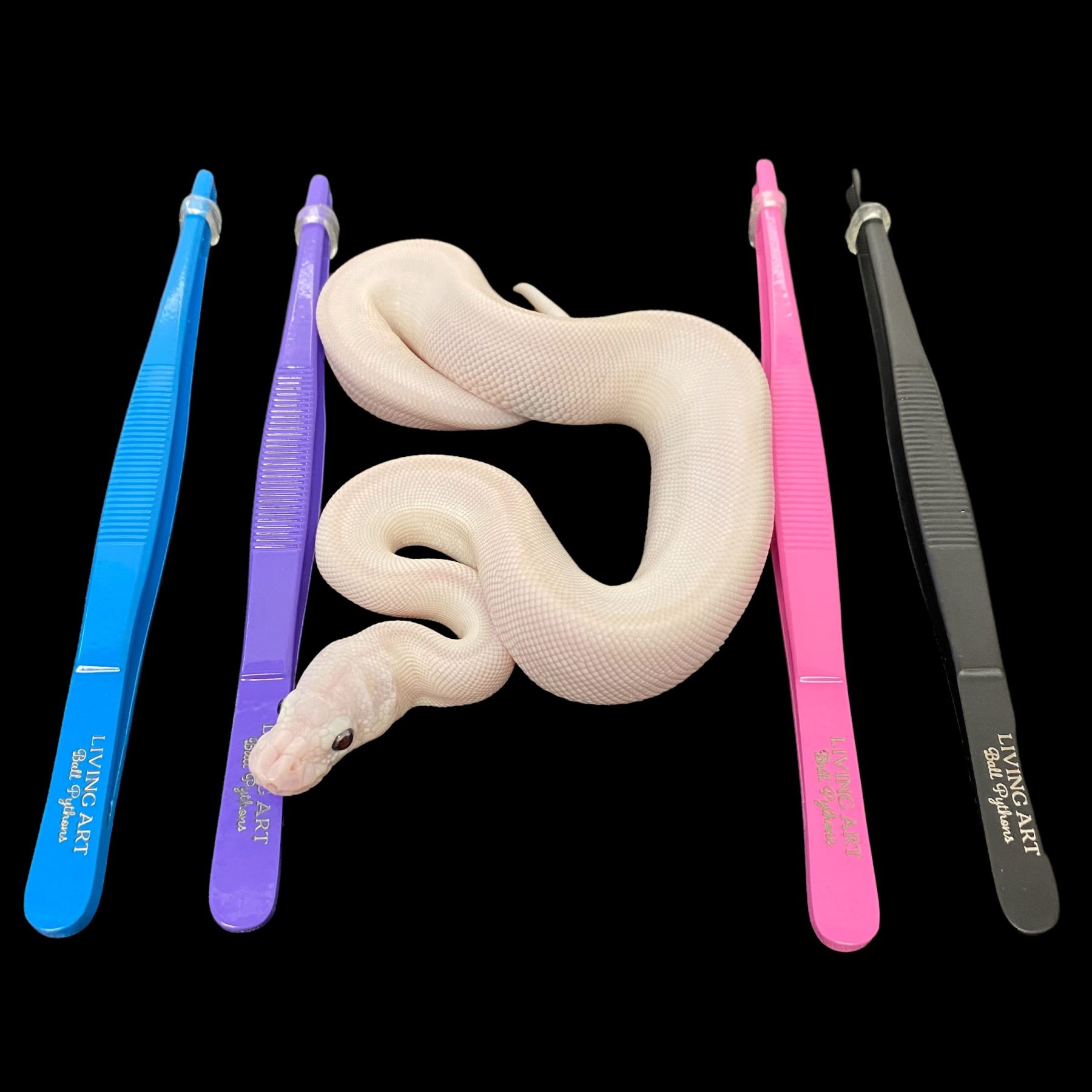 Feeding Tools and Hooks – Living Art Ball Pythons