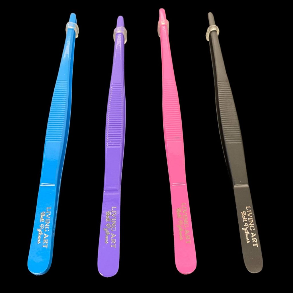 Starter Pack - Living Art Ball Pythons