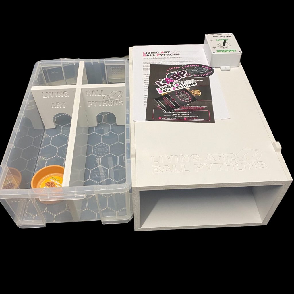 12 Litre Ball Python Starter Set Up Kit - Living Art Ball Pythons