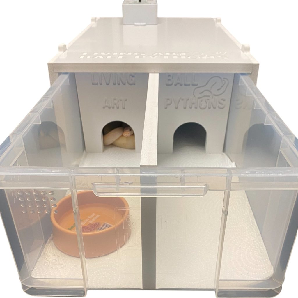 12 Litre Ball Python Starter Set Up Kit - Living Art Ball Pythons