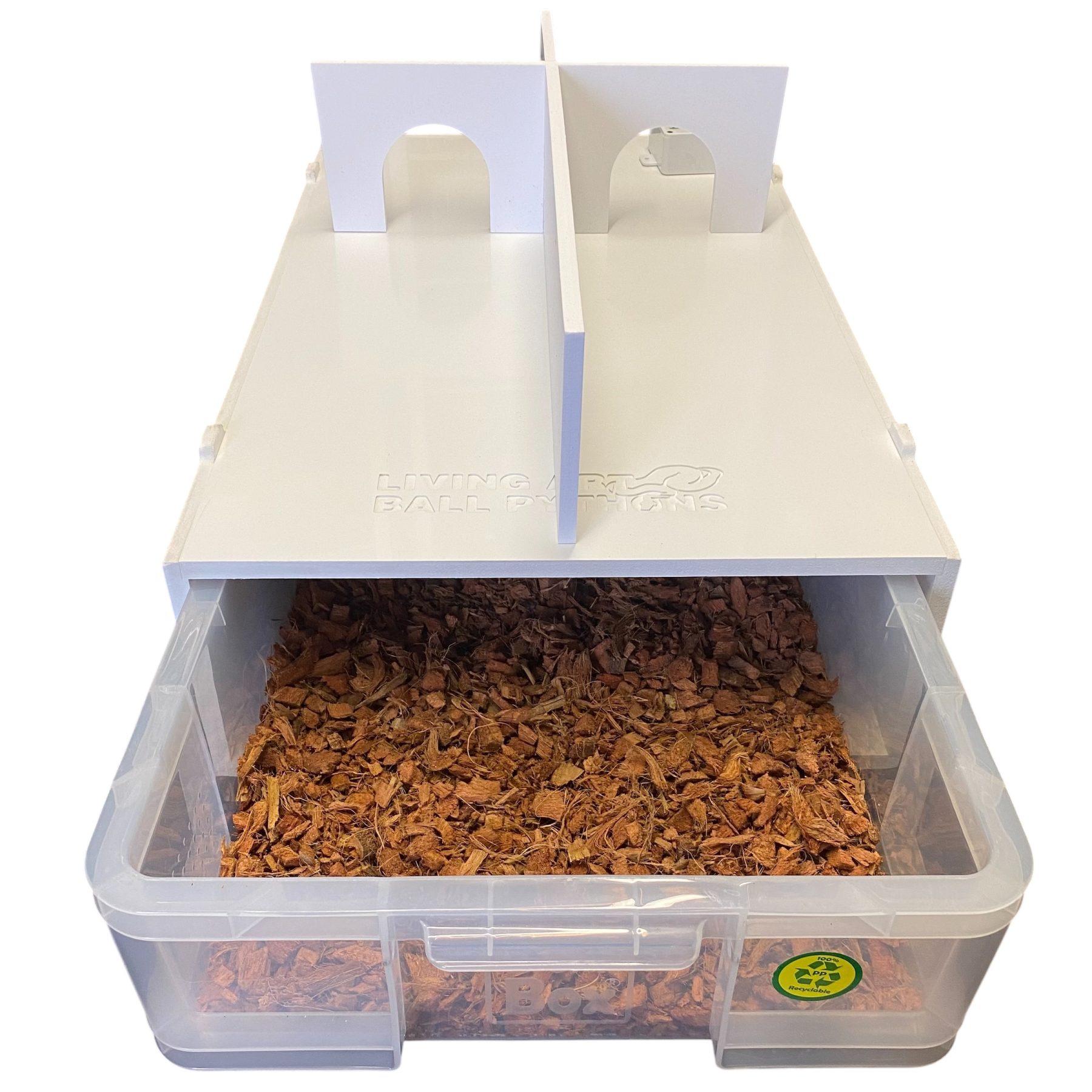 33 Litre Ball Pythons Set Up Kit - Living Art Ball Pythons