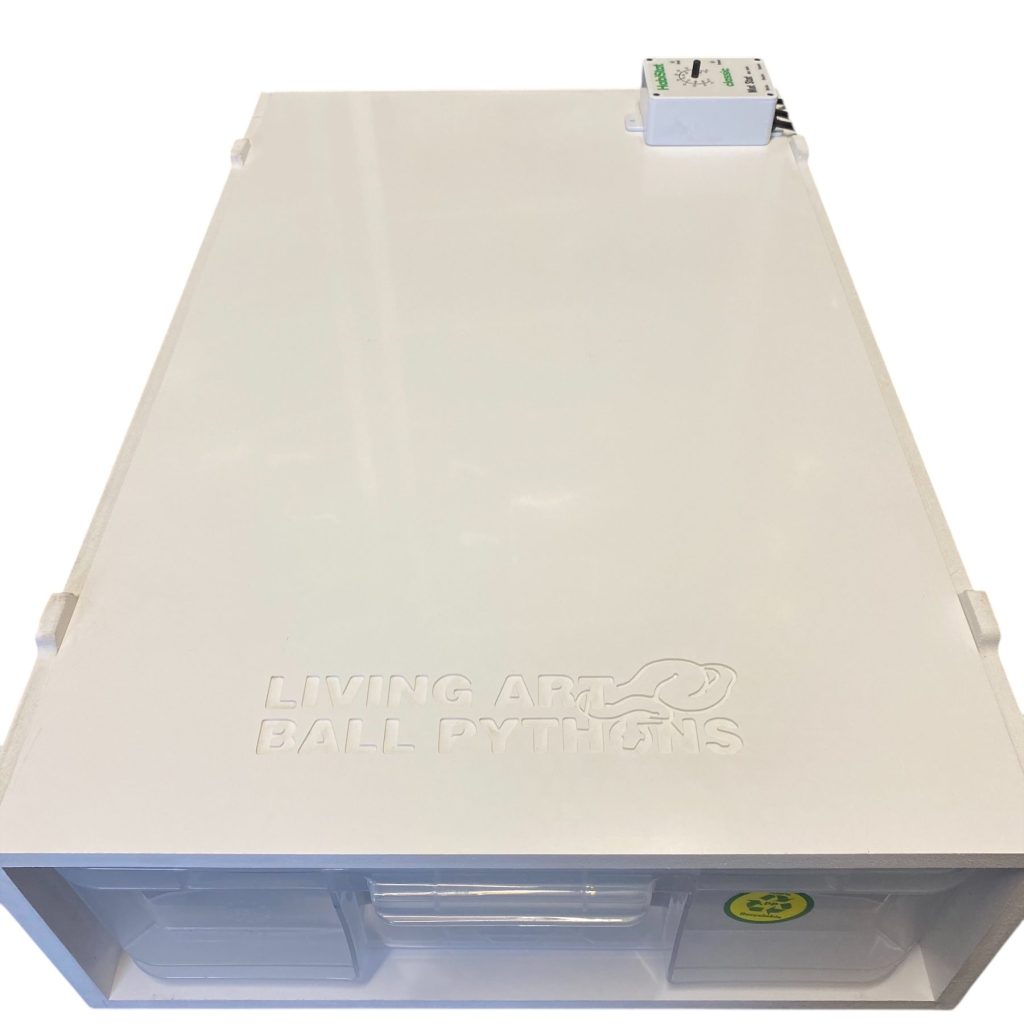 33 Litre Ball Pythons Set Up Kit - Living Art Ball Pythons