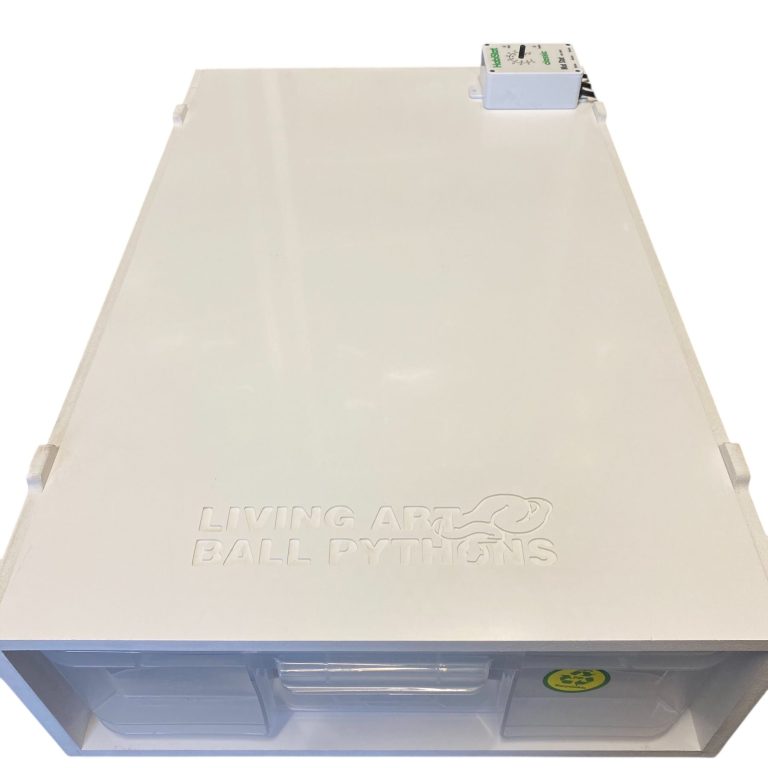 33 Litre Ball Pythons Set Up Kit - Living Art Ball Pythons