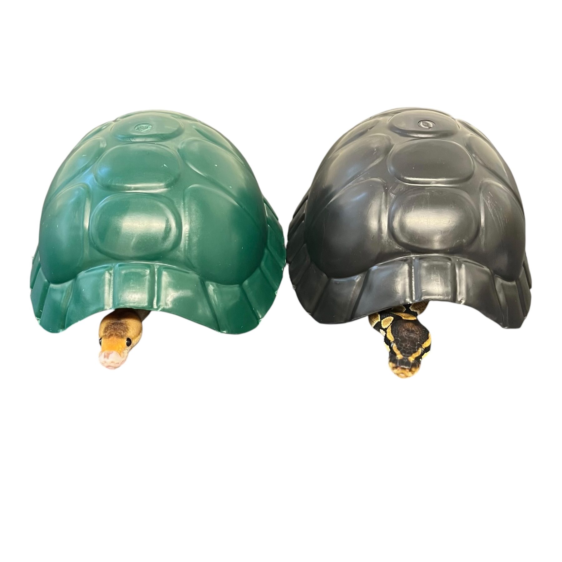 Plastic Tortoise Shell Reptile Hides - Living Art Ball Pythons