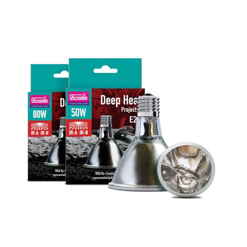 Arcadia Deep Heat Projector - Living Art Ball Pythons