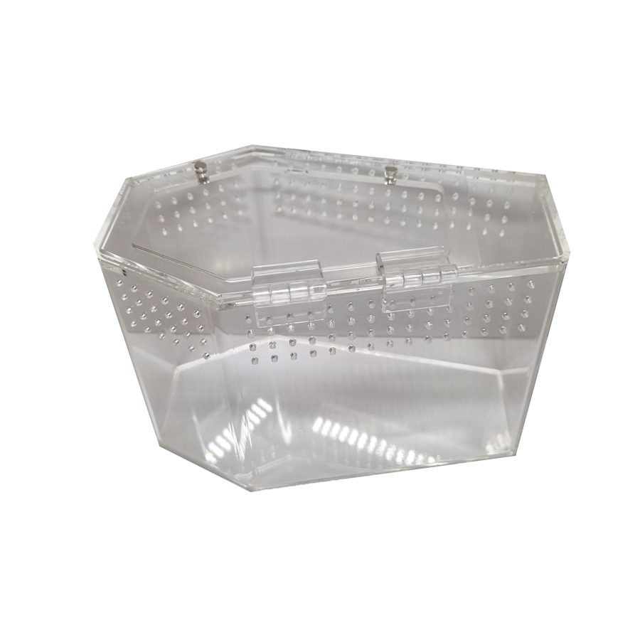 Acrylic Coffin Enclosure - Living Art Ball Pythons