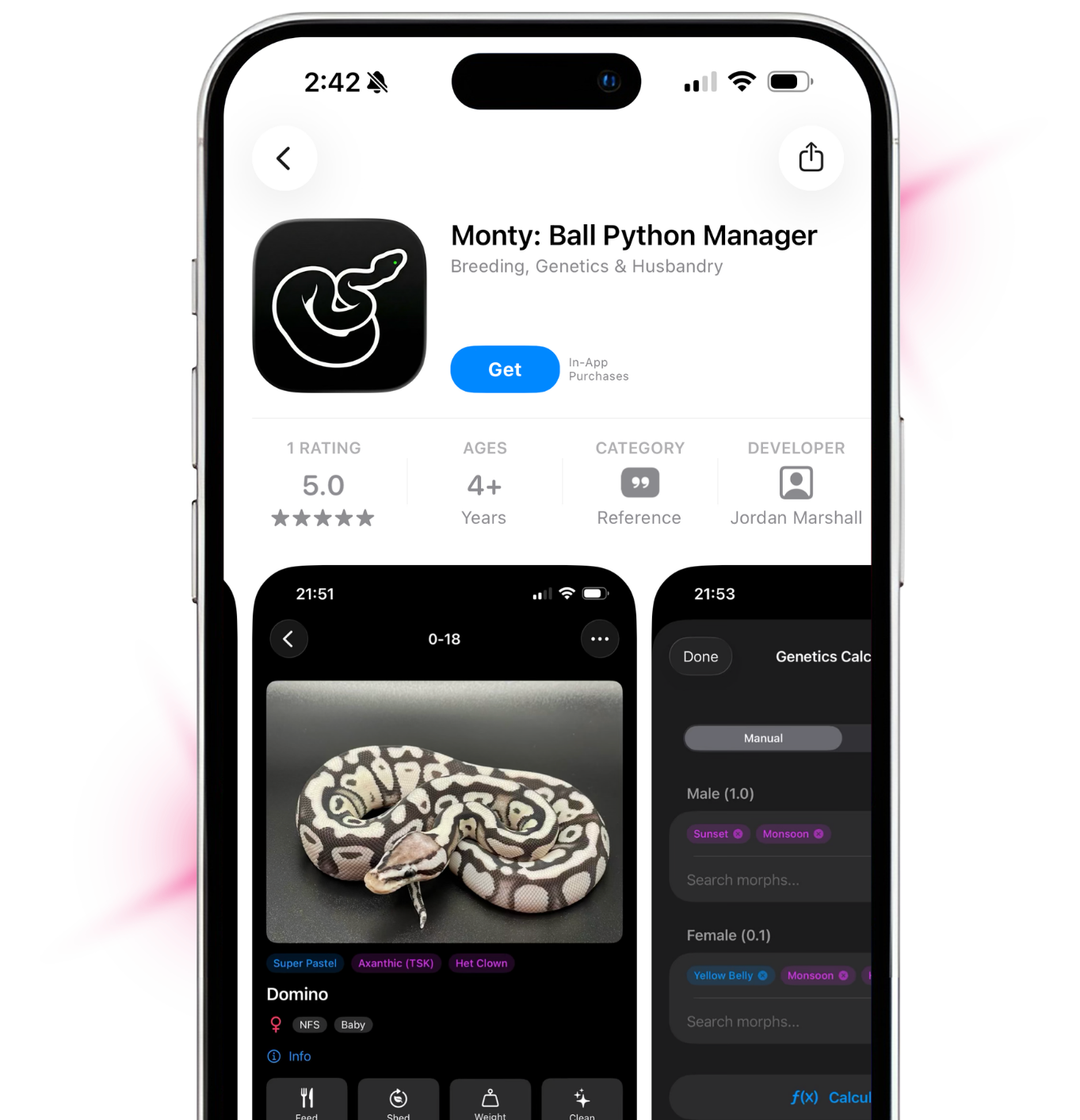 Living Art Ball Pythons - Reptile Products & Collector